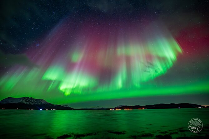 "a journey in search of the Northern Lights" | Photography - Discovering the Northern Lights in Tromso: An Honest Look at the Photography Tour