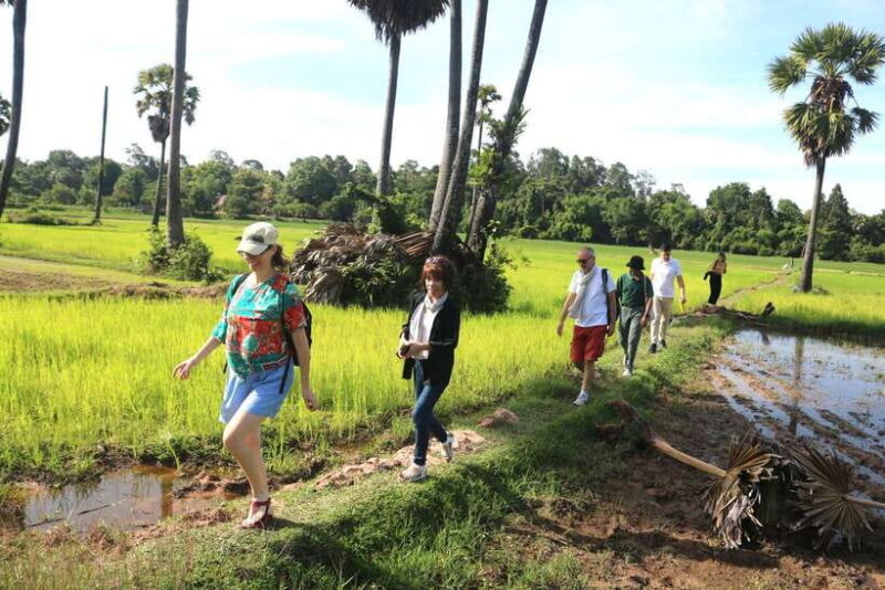 A Morning in the Cambodian countryside - Key Points