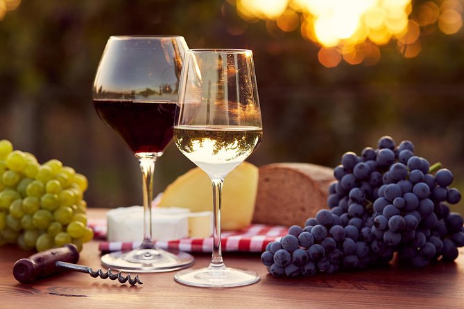 A world of wine-tasting in Nemea - A Deep Dive into a World of Wine-tasting in Nemea