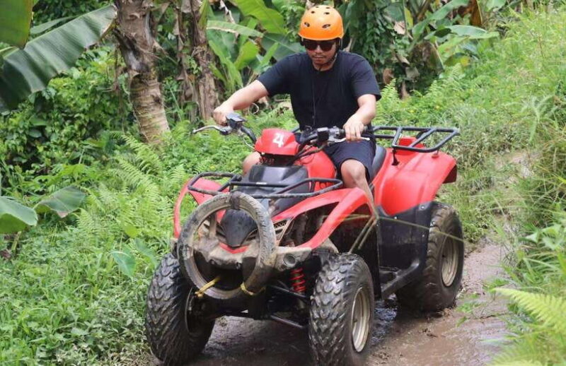 Adventure Bali: ATV Trails, Waterfalls & Jungle Caves - Key Points