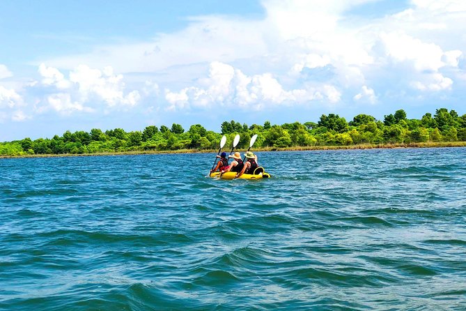 Albania Birdwatching, Kayaking, Bicycle National Park Divjaka Karavasta(ARG) - Exploring Albania’s Wild Side: A Closer Look at the Divjaka-Karavasta Park Tour
