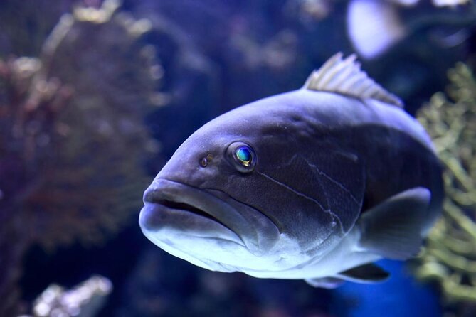 Alexander Waterfall and Antalya Aquarium Day Tour from Side - Key Points