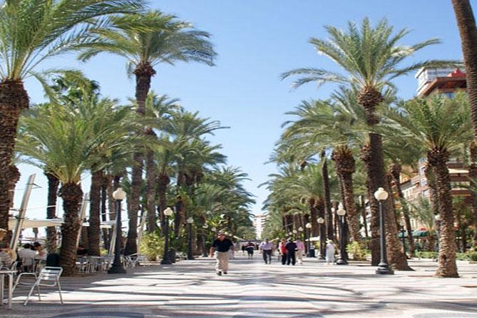 Alicante Shore Excursion: Private Walking Tour - Exploring Alicante with a Private Guide