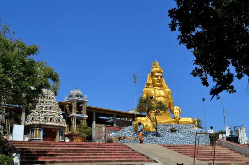 All inclusive Day Tour to Trincomalee from Sigiriya - An Honest Look at the Trincomalee Day Tour from Sigiriya