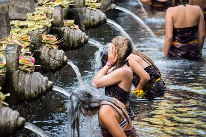 All-Inclusive Private Ubud Tour with Jungle Swing - Introduction