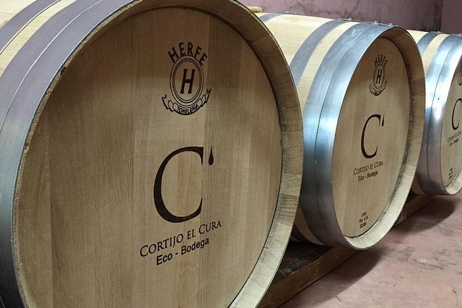 Almería Visit to Eco Winery Cortijo El Cura and wine tasting - Key Points