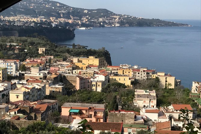 Amalfi Coast Tour Full Day 8 Hours from Naples or Sorrento - Discovering the Amalfi Coast: An 8-Hour Private Tour from Naples or Sorrento