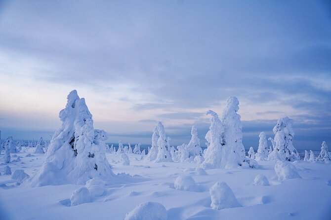 Arctic Adventure through Magical Frozen Forests of Riisitunturi - Exploring the Arctic Wilderness: A Review of the Riisitunturi Winter Tour