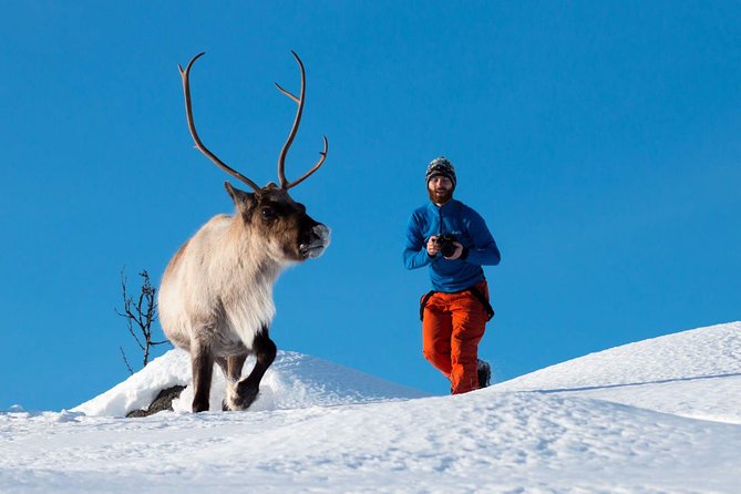 Arctic Nature Photography Sightseeing Tour from Tromso - An Honest Look at the Arctic Nature Photography Tour