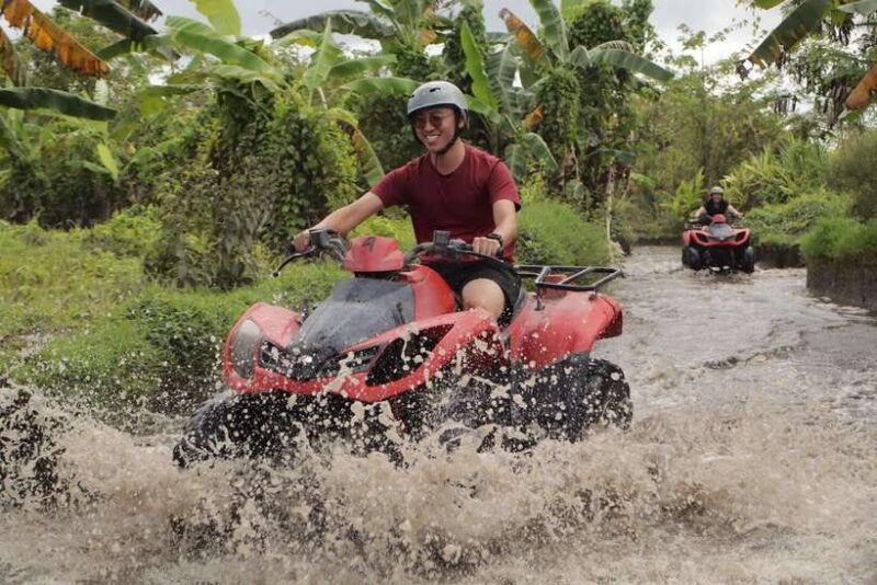 atv quad bike ubud - Key Points