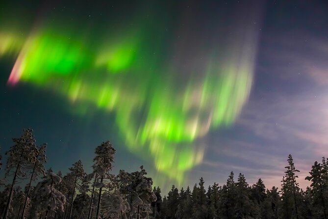 Aurora Photo Experience by Car from Saariselkä - Introduction