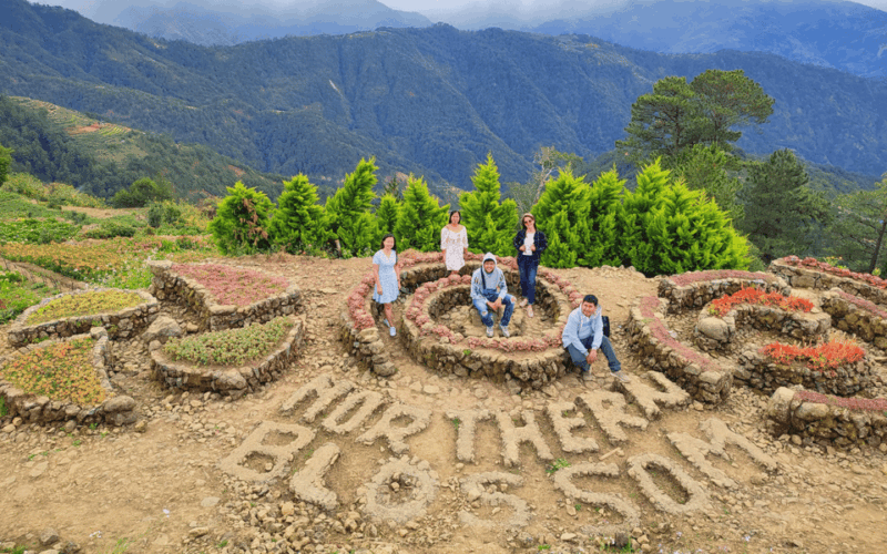 Baguio Atok Flower Blossoms (Private Tour) - The Sum Up