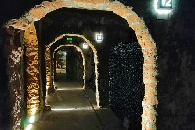 Bairrada Winery Route, half day from Coimbra - Starting Point and Overall Structure