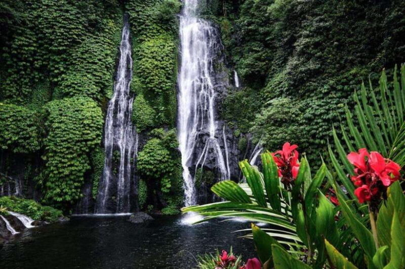 Bali: 3-Day North Bali Tour with Dolphin Watching - Introduction