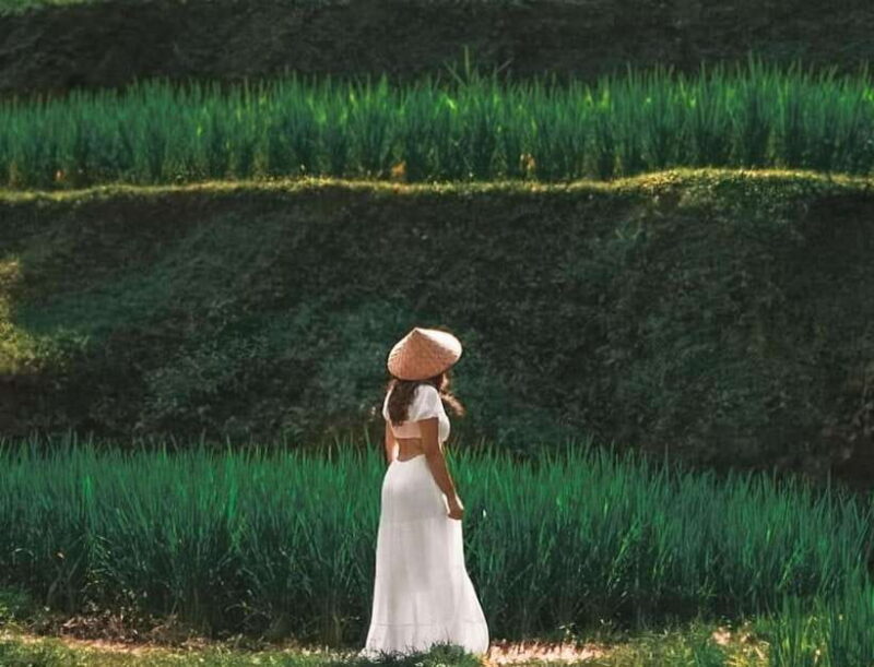 Bali: Agricultural Adventure Private Tour - Key Points