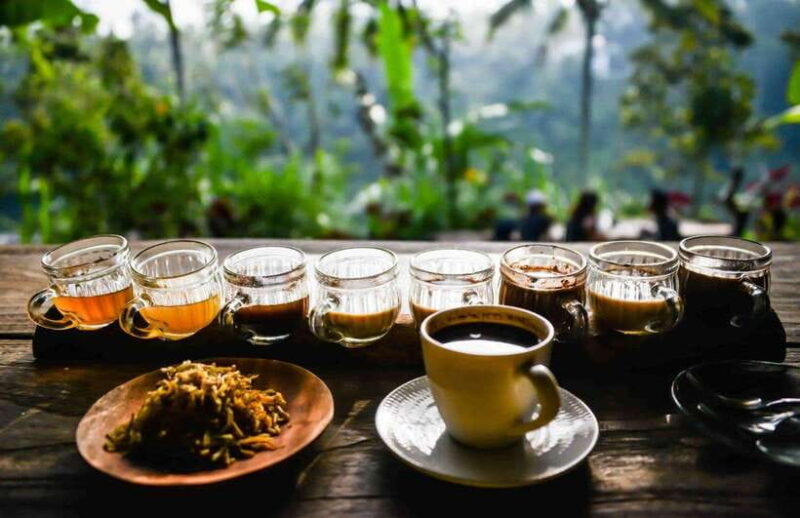 Bali: ATV Quad Bike and Ayung River Rafting with Lunch - Key Points