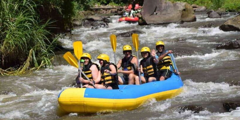 Bali: Ayung River Rafting and Swing Adventure with Lunch - Key Points