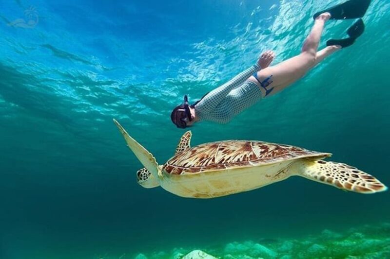 Bali: Blue Lagoon Beach Snorkeling Tour with Lunch - Key Points
