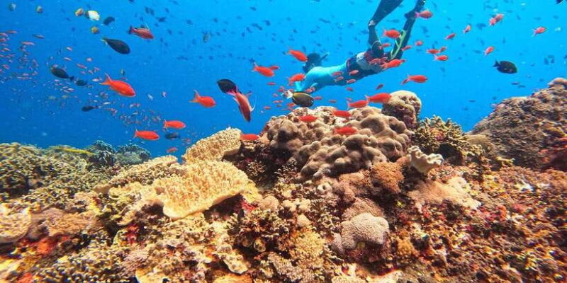 Bali: Blue Lagoon Snorkeling, Kantolampo & Tibumana - Key Points