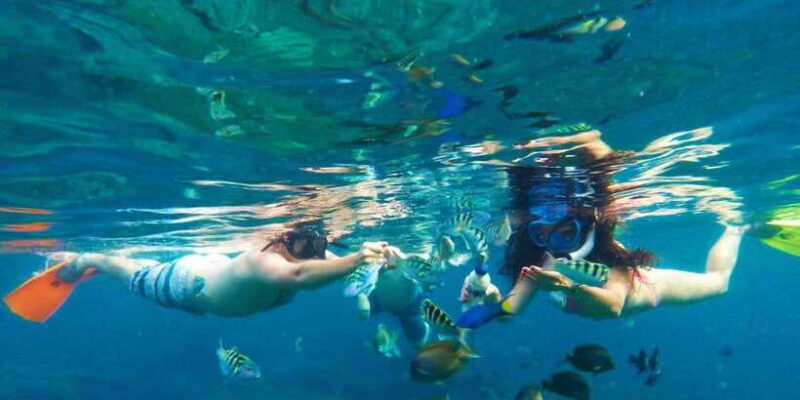 Bali: Blue Lagoon Snorkeling with Lunch & Transport - Key Points