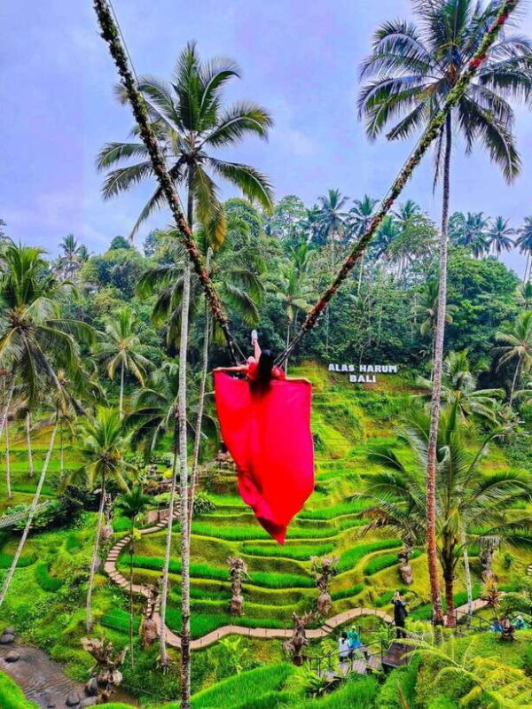 Bali : Design Your Customize Trip with Private Driver - Key Points