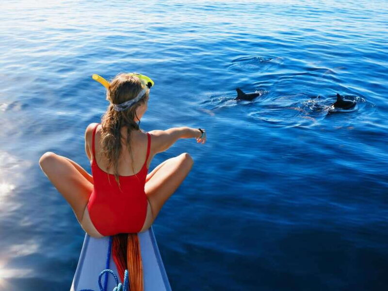 Bali: Dolphin Watching, Aling Aling Waterfall, and Coffee - Key Points