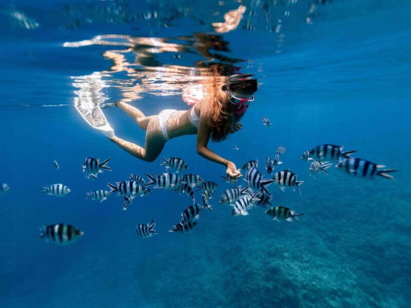 Bali: East Bali Hidden Gems. Exotic Beaches & Waterfalls. - Key Points