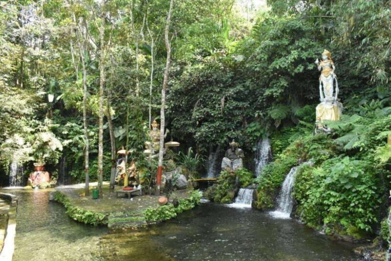 Bali Experience: Dance, Purification, & Culinary Journey - Key Points