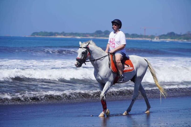 Bali: Horse Riding Experience in Sanur (1 Hour ride) - Key Points