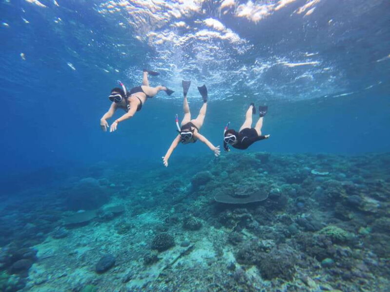 Bali: Nusa Penida: Snorkeling, West trip, lunch & speed boat - Key Points