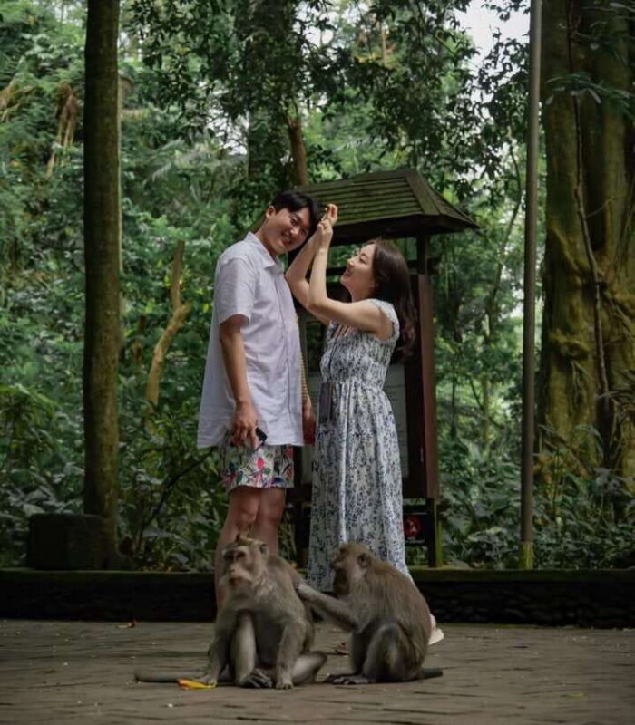 Bali: Private Customizable Full Day Trip - Key Points