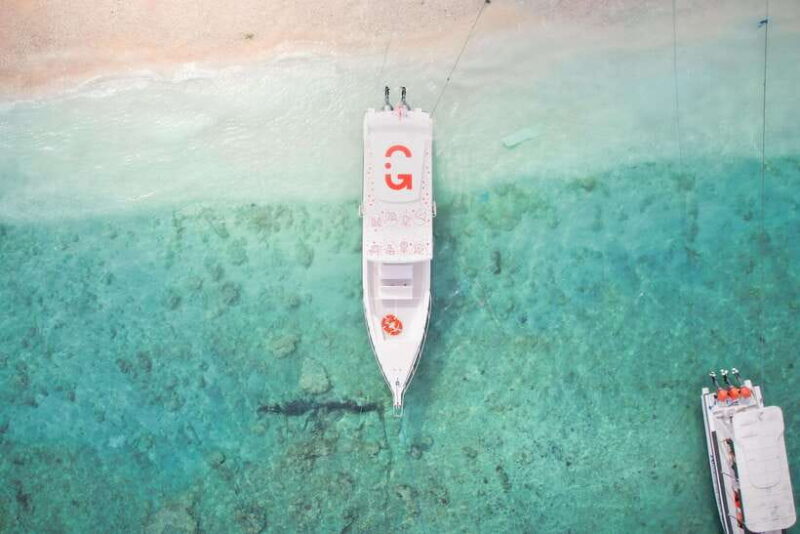 Bali: Private Snorkeling at Manta Point Nusa Penida - Key Points