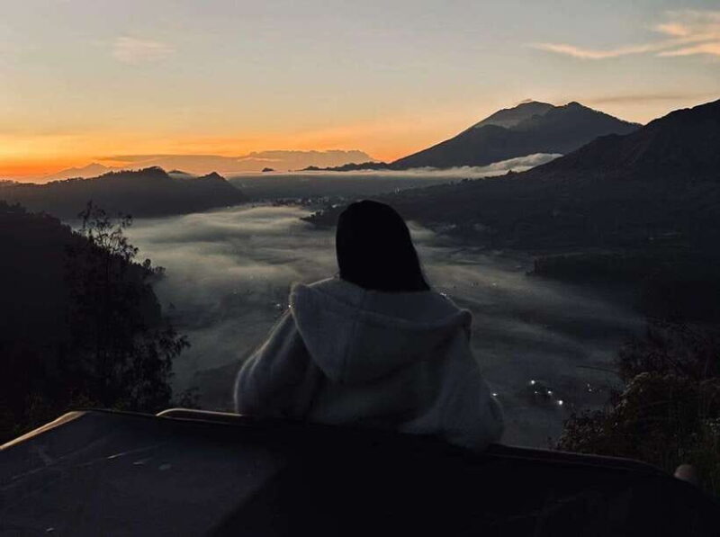 Bali: Rice Terrace & Volcano Tour with Penglipuran Village - Key Points