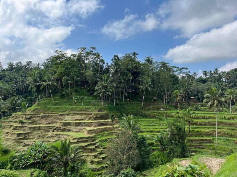 Bali: Rice Terrace, Water Temple, Penelokan, Mother Temple - Introduction