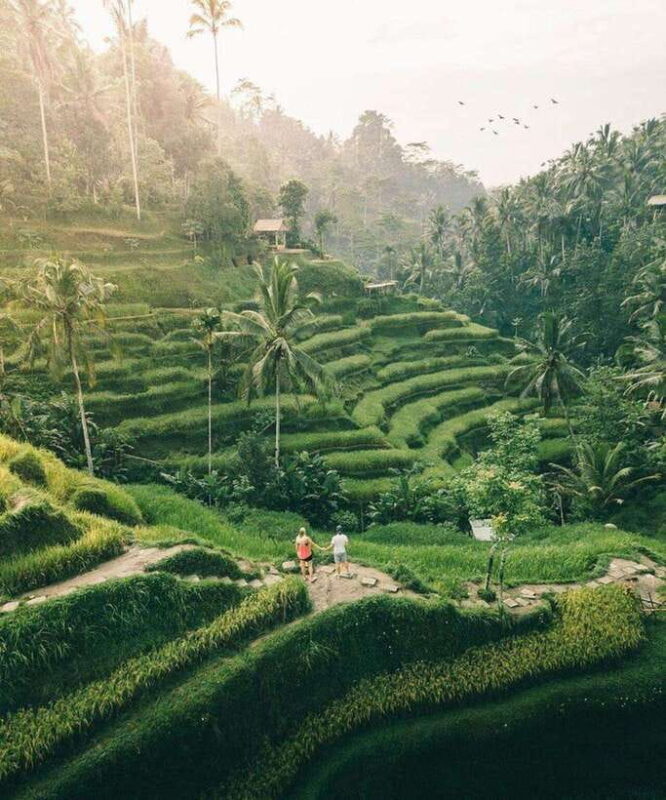Bali: Rice terrace, Waterfall, and water Temple Day Tour - Introduction: Why Consider This Tour?