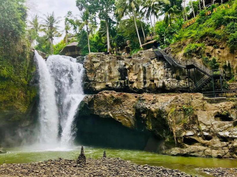 Bali: Shared or Private Highlights Ubud with Cretya Jungle - Bali: Shared or Private Highlights Ubud with Cretya Jungle – A Practical Look