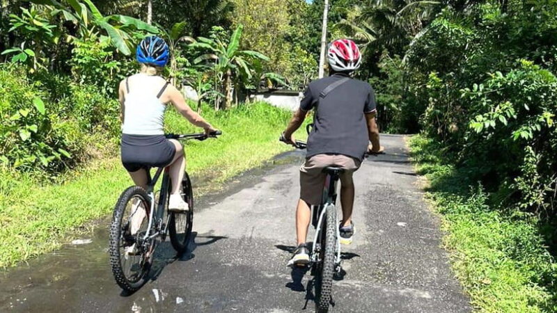 Bali: Sidemen Valley Cycling Tour with Gembleng Waterfall - Key Points
