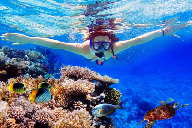 Bali: Snorkeling Tour with USAT Liberty Shipwreck - Key Points