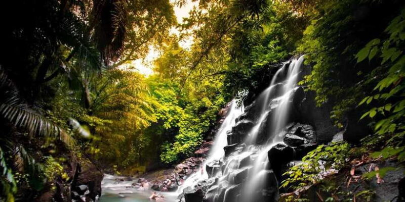 Bali: Ubud and Tanah Lot Small Group Guided Tour - Key Points