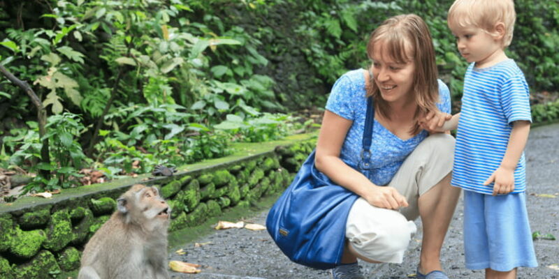 Bali: Ubud Rice Terraces, Monkey Forest & Waterfall Tour - Key Points