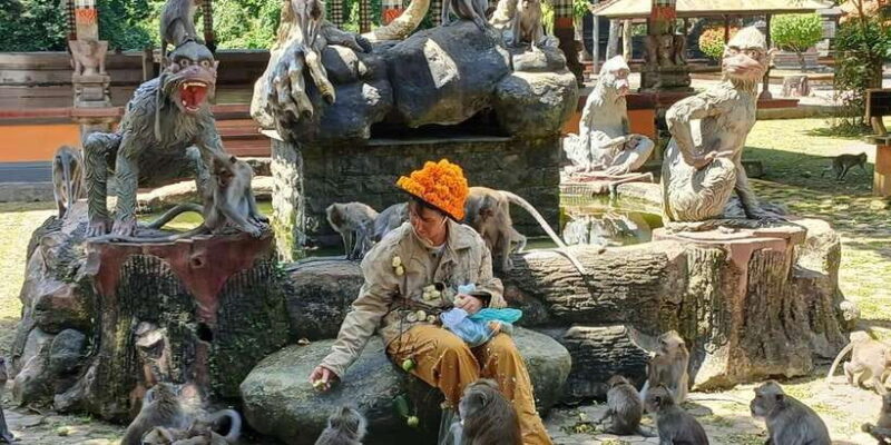 Bali: UNIQUE ACTIVITY OF FEEDING MONKEYS - Key Points