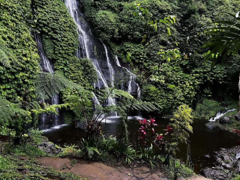 Bali: Wanagiri, Banyumala Twin Waterfall, Ulun Danu Bratan - Key Points
