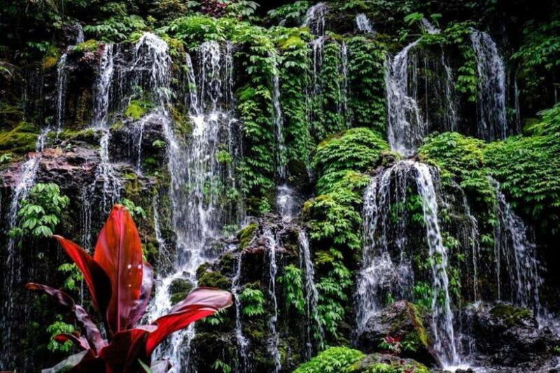 Bali: Wanagiri Hidden Hills, Waterfall, and Temples Tour - Key Points