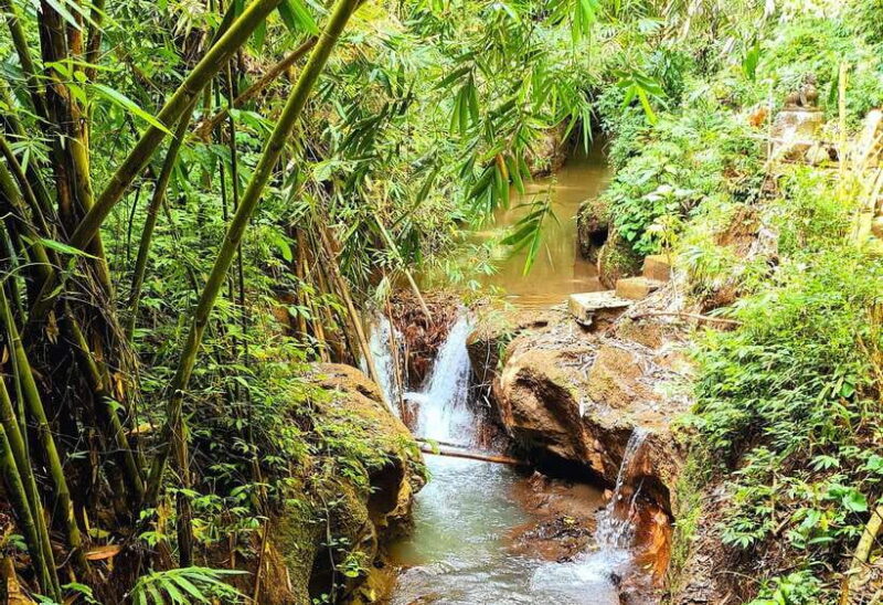 Balis Mystical Jungle Trek & Hidden Waterfall Adventure - Key Points