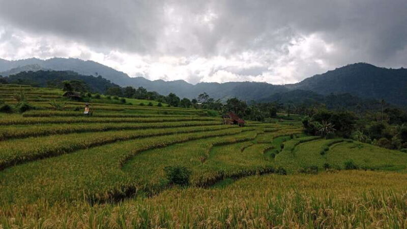 Bali:Sidemen tour guide - Exploring the Bali: Sidemen Tour Guide Experience