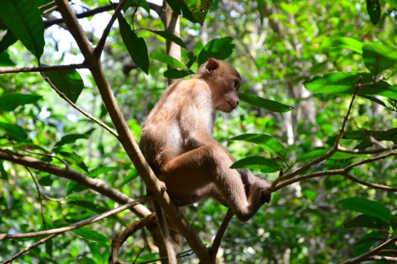 Bangkok: Kanchanaburi and Erawan Waterfall Private Tour - Key Points
