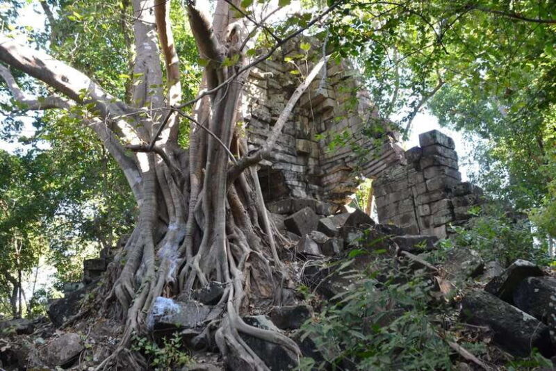 Banteay Chhmar Temple & Silk Farm Day Trip from Siem Reap - Key Points