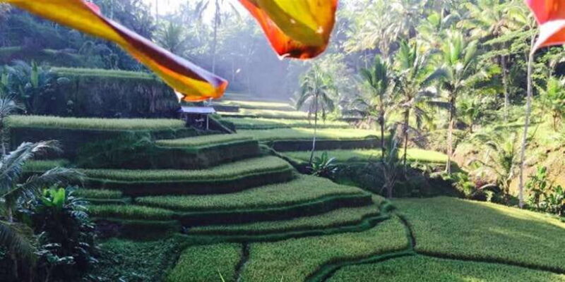 Banyumala Waterfall Trek, Bedugul and Lake Beratan Tour - Key Points
