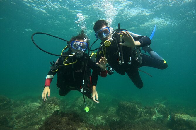 "Baptism of the Sea: Diving on the Island of Elba" - Key Points
