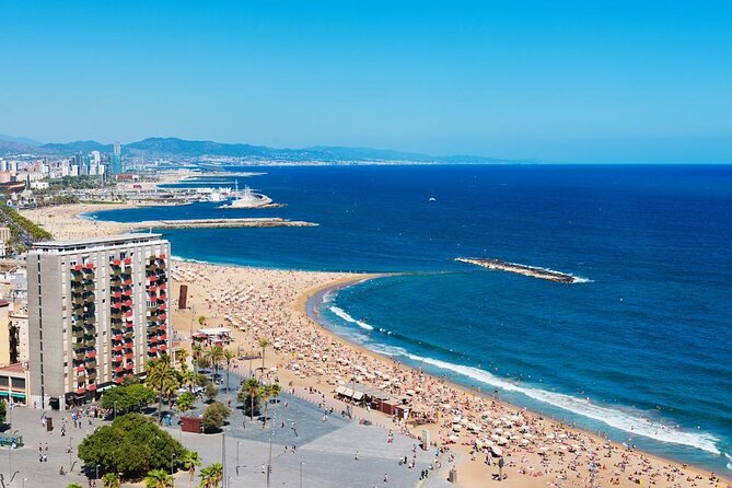 Barcelona Evening Small Group Bike Tour with Cava | with Private Option - Key Points